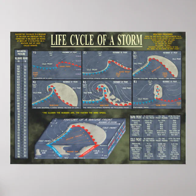 Life Cycle of a Storm Poster | Zazzle