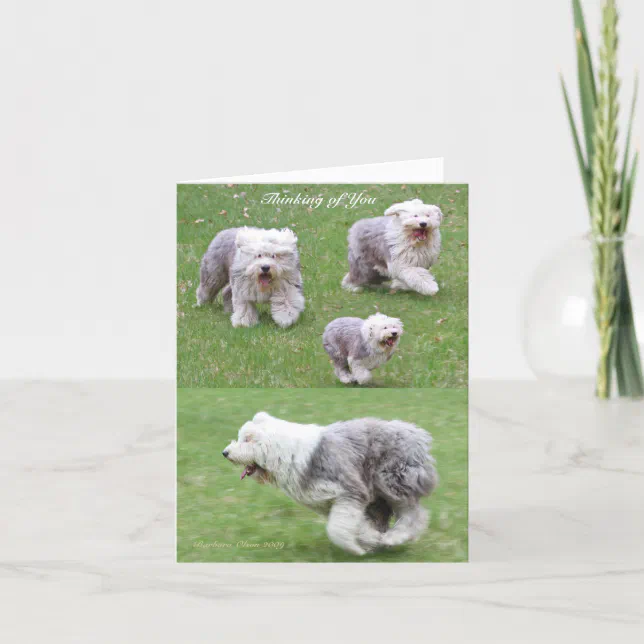 Life Happens! Card | Zazzle