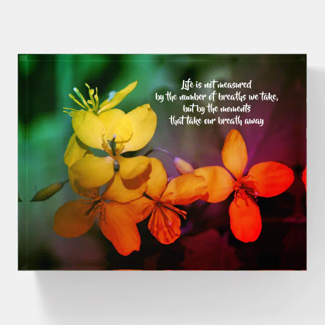 Life Inspirational Quote Flowers Abstract Paperweight | Zazzle