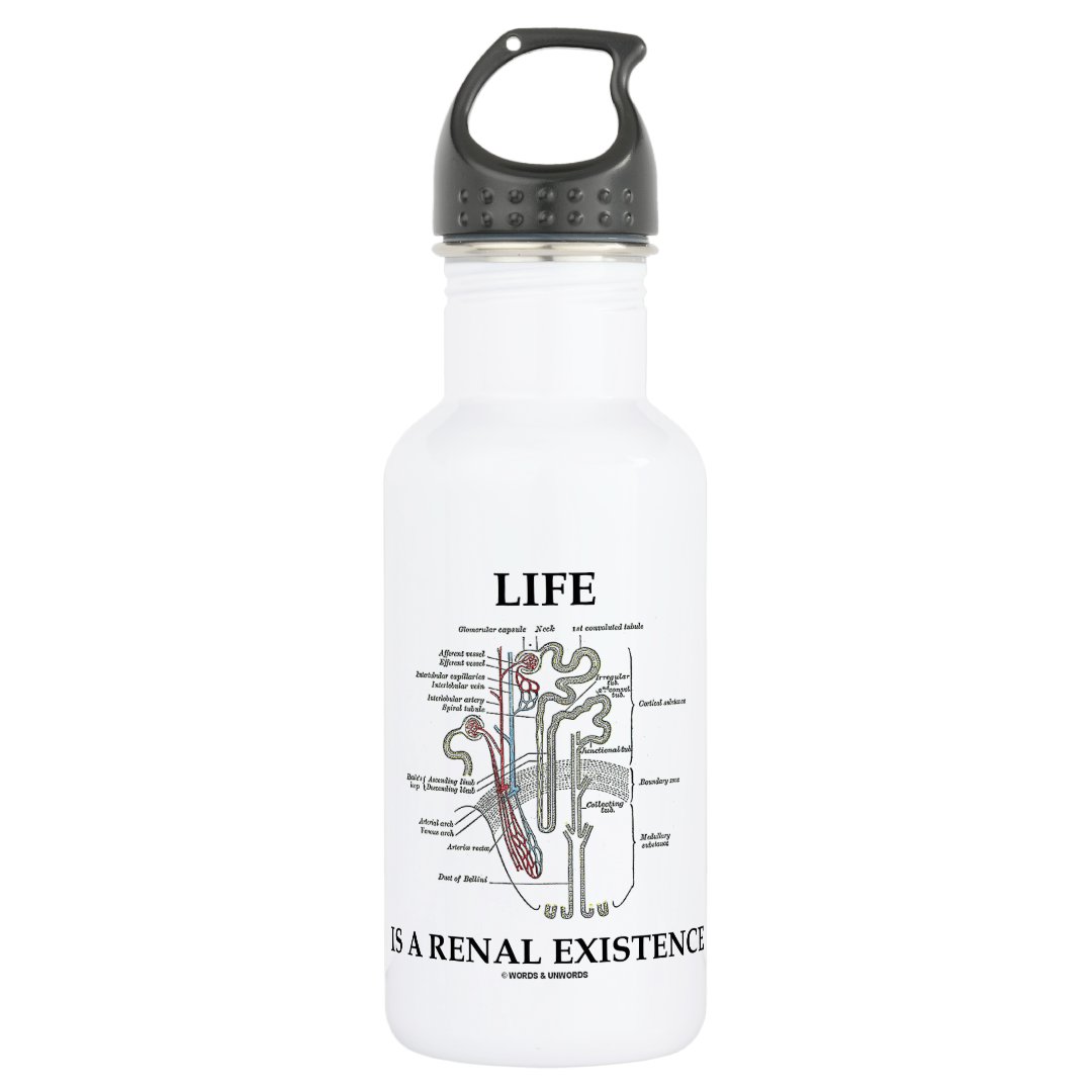 Life Is A Renal Existence (Kidney Nephron) Water Bottle | Zazzle