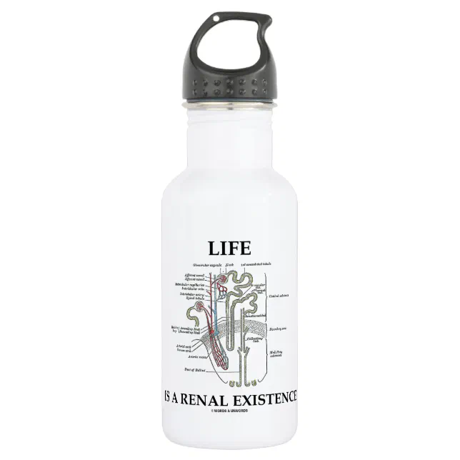 Life Is A Renal Existence (Kidney Nephron) Water Bottle | Zazzle