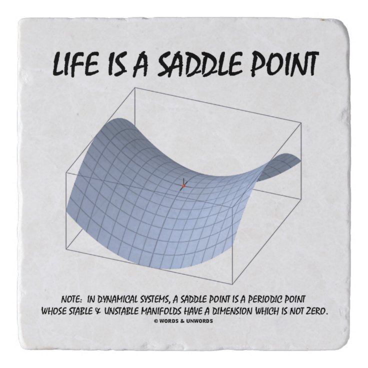 Life Is A Saddle Point Math & Geometry Humor Trivet | Zazzle