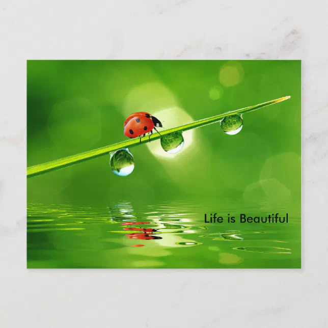 Life is Beautiful Motivation Postcard | Zazzle