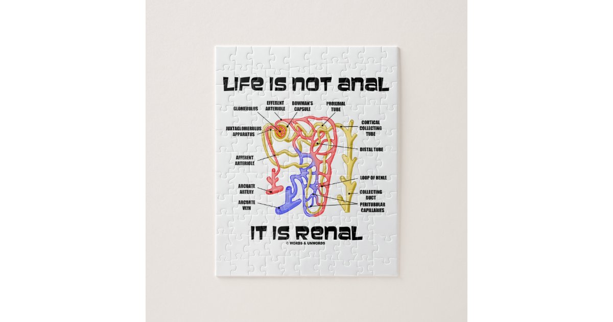 Life Is Not Anal It Is Renal (Kidney Nephron) Jigsaw Puzzle | Zazzle