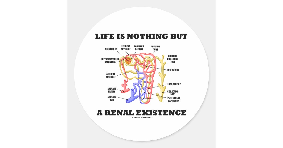 Life Is Nothing But A Renal Existence Classic Round Sticker | Zazzle