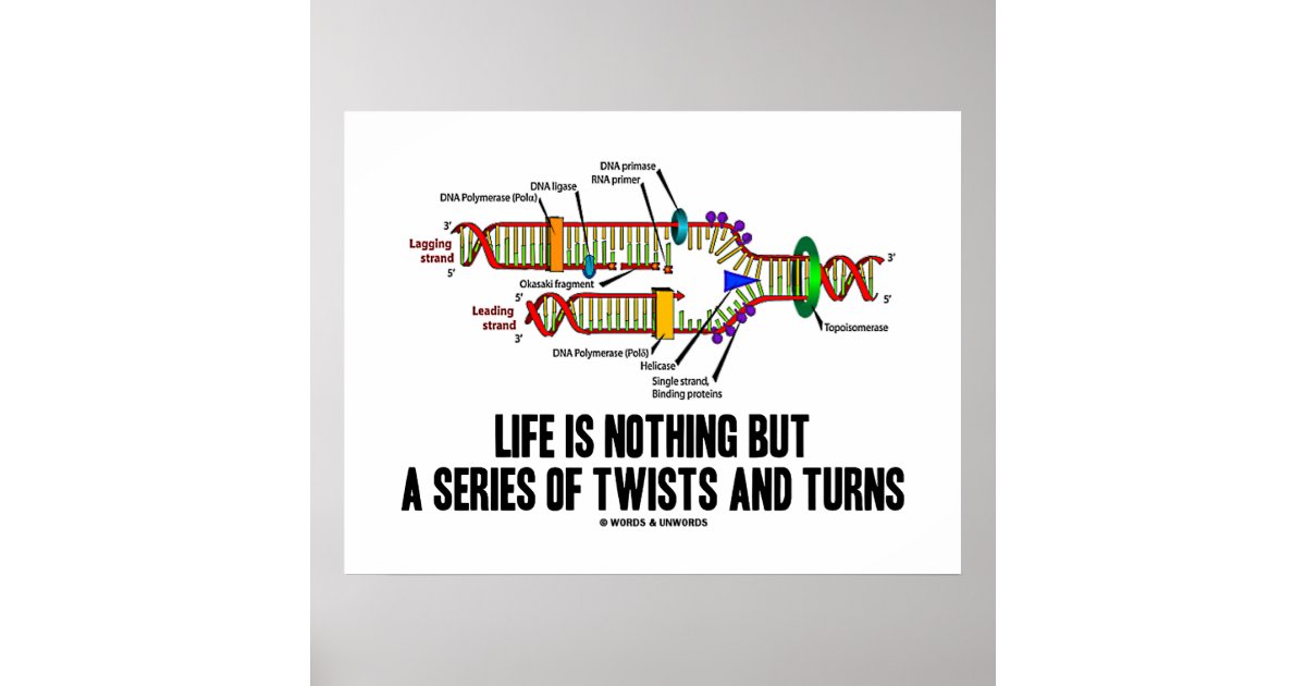 Life Is Nothing But A Series Of Twists And Turns Poster | Zazzle