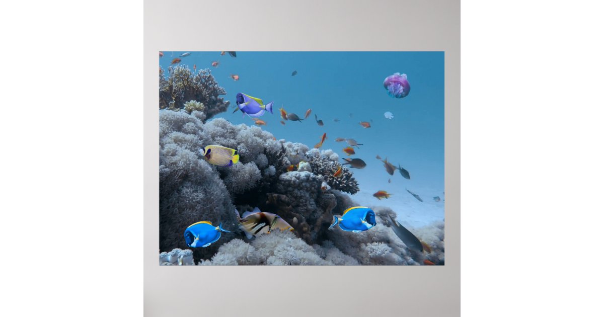 Life on the Coral Reef – Coral Bleaching Poster | Zazzle