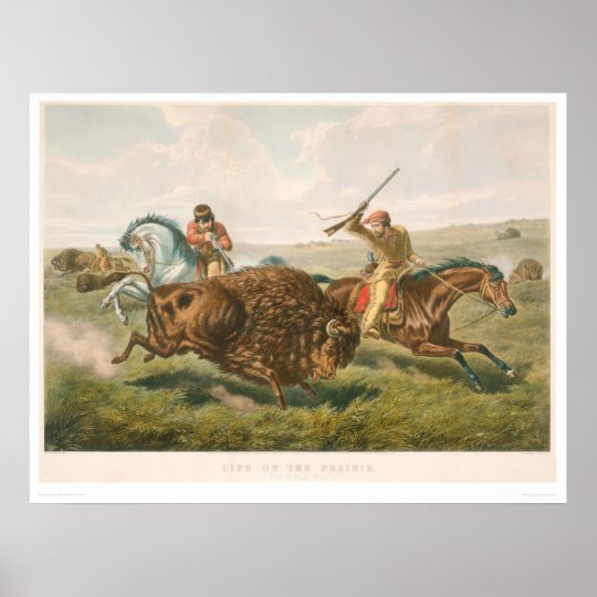 Life on the Prairie: The Buffalo Hunt (0878A) Poster | Zazzle.com