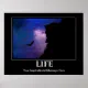 Life Poster, Inspiration / Motivation, w/your msg Poster | Zazzle