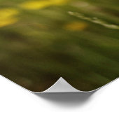 Life Through a Positive Lens Poster | Zazzle