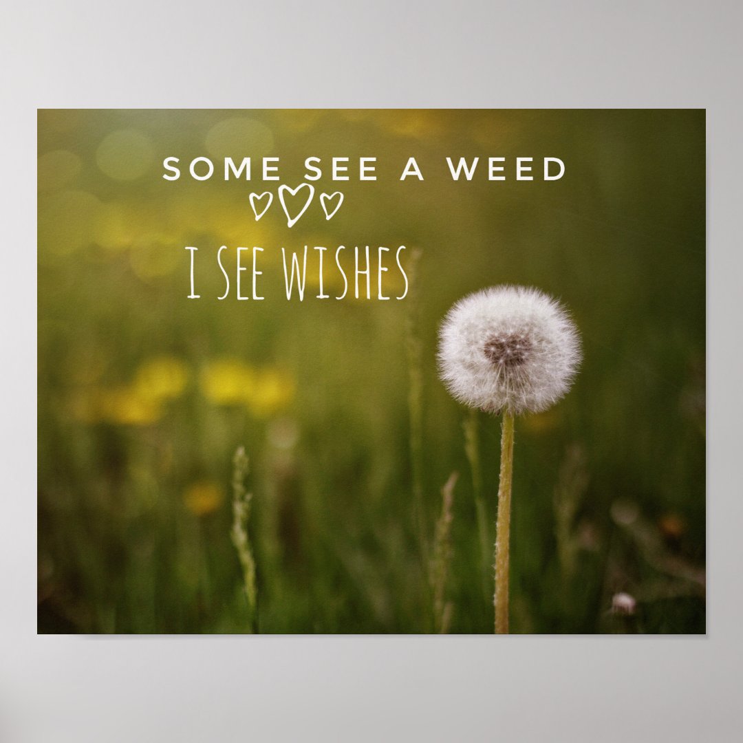 Life Through a Positive Lens Poster | Zazzle