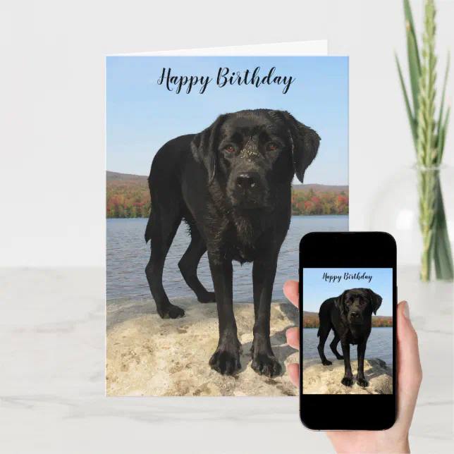 Life's a Beach - Labrador Retriever - Black Lab Card | Zazzle