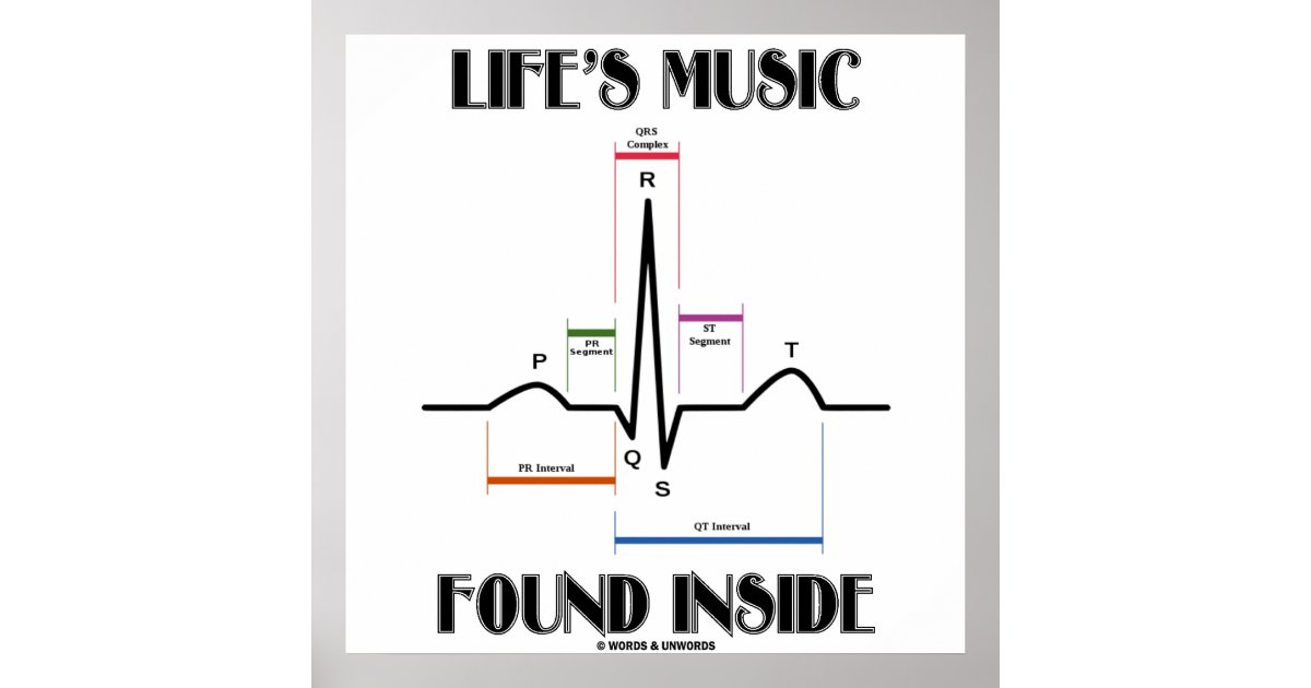 Life's Music Found Inside (ECG/EKG Heartbeat) Poster | Zazzle