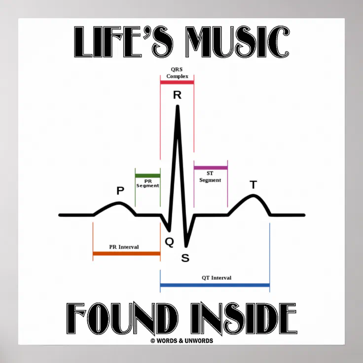 Life's Music Found Inside (ECG/EKG Heartbeat) Poster | Zazzle