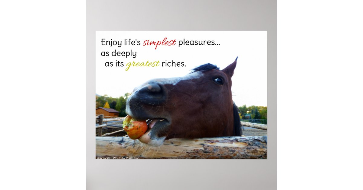 Life's Simplest Pleasures... Poster | Zazzle
