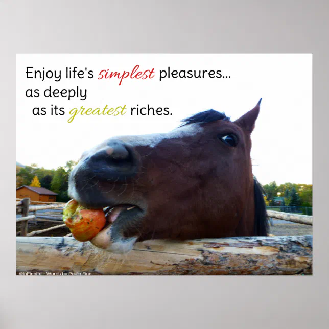 Life's Simplest Pleasures... Poster | Zazzle