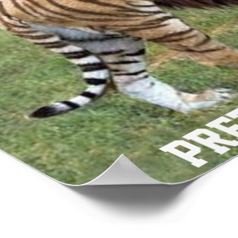 LIGER PRETTY MUCH MY FAVORITE ANIMAL POSTER | Zazzle