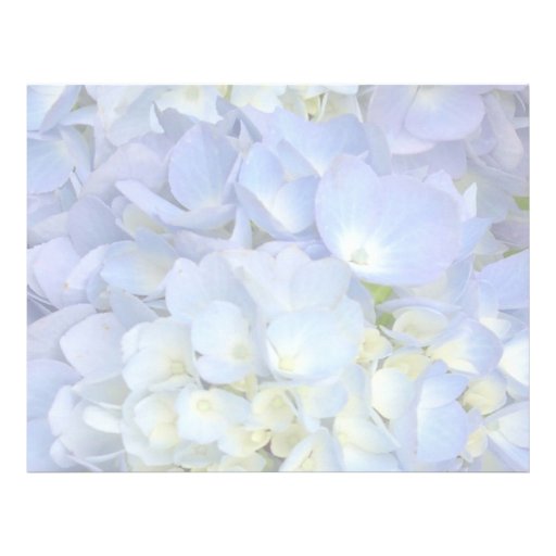 Cheap Blank Wedding Program Paper - Typo Designs