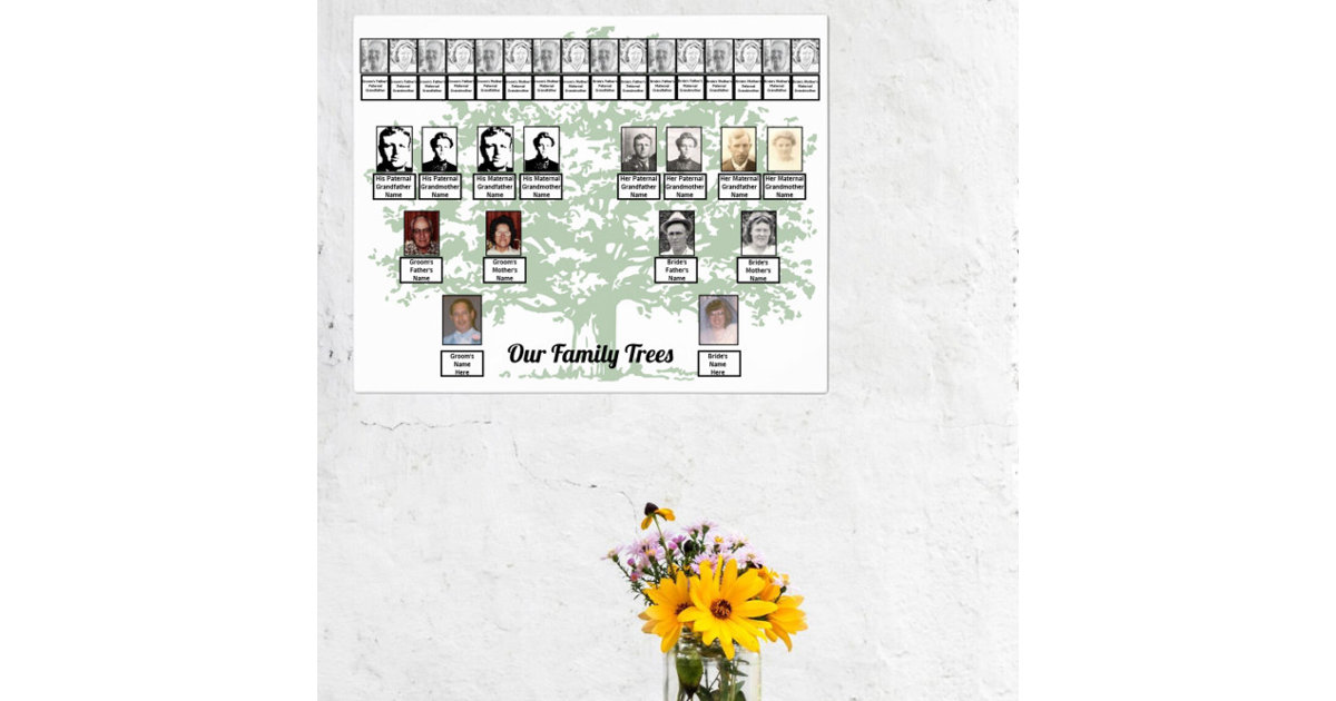 Light Green Leafage Tree Drawing Two Family Trees Poster | Zazzle