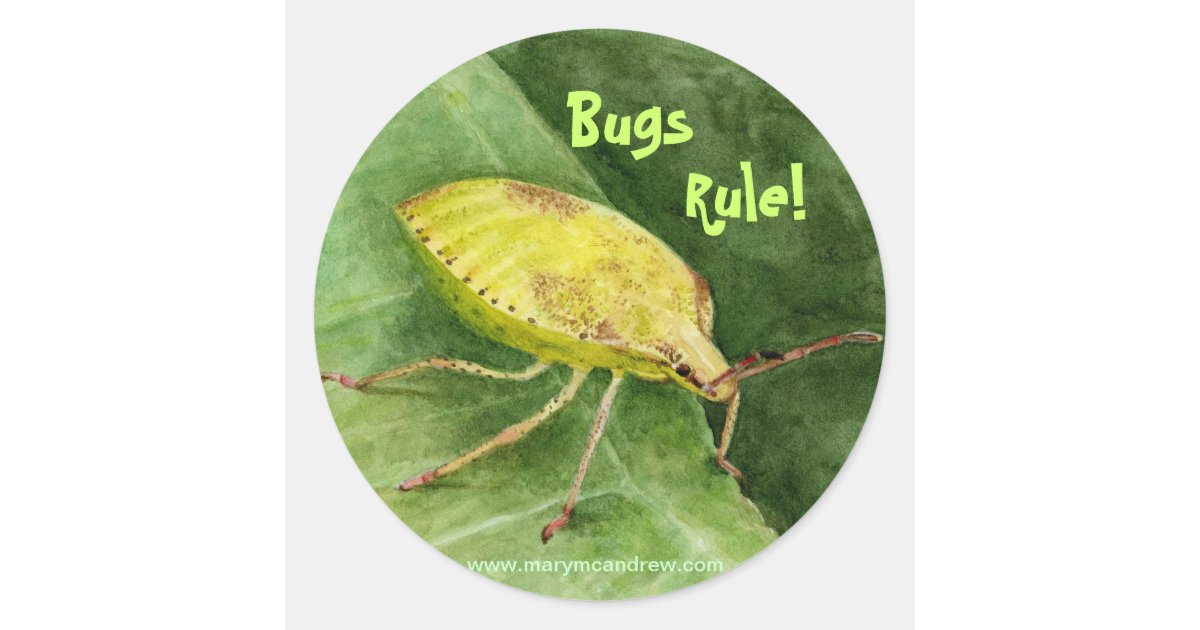 Light Green Stink Bug Classic Round Sticker | Zazzle