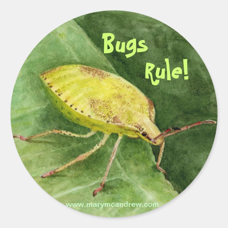 Light Green Stink Bug Classic Round Sticker | Zazzle