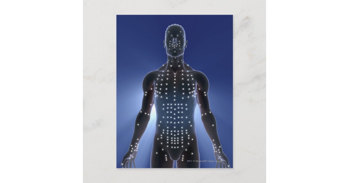 Light map of acupuncture points postcard | Zazzle