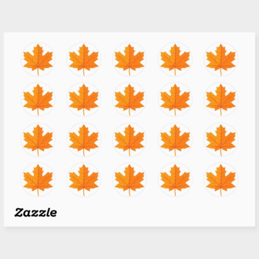 Light Orange Canadian Maple Tree leaf Classic Round Sticker | Zazzle
