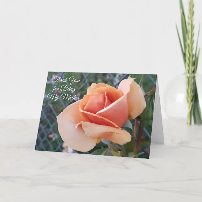 Light Orange Rose | Thank You for Being My Mother Card | Zazzle