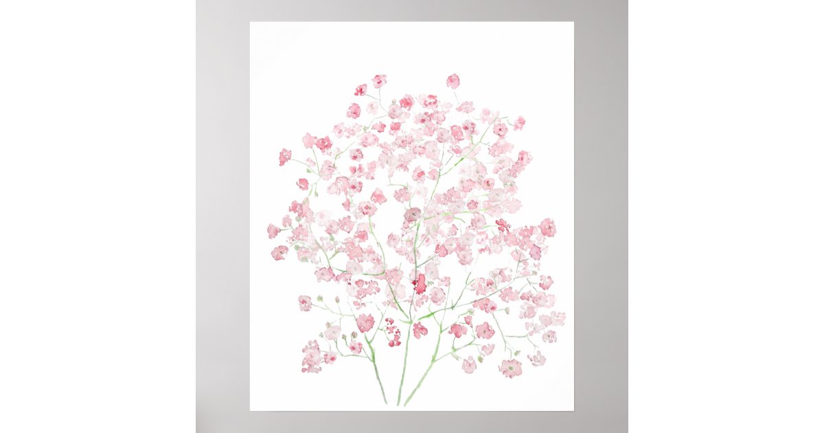 light pink Baby Breath Bouquet gypsophila watercol Poster | Zazzle