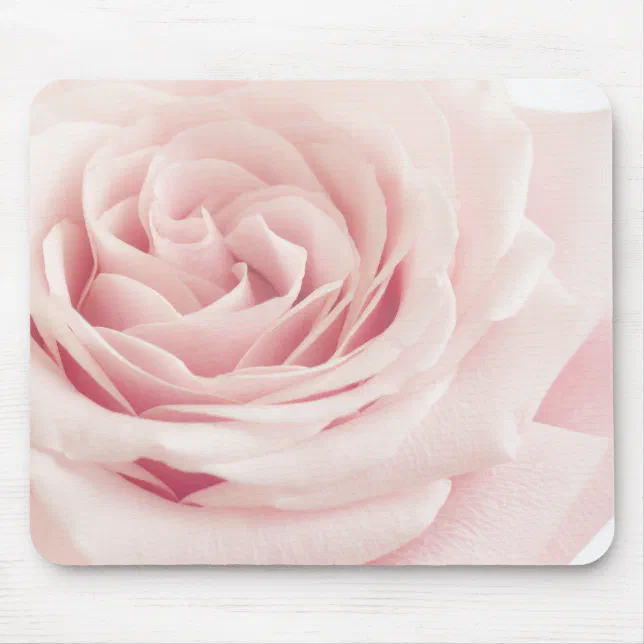 Light Pink Rose Flower - Roses Flowers Floral Mouse Pad | Zazzle