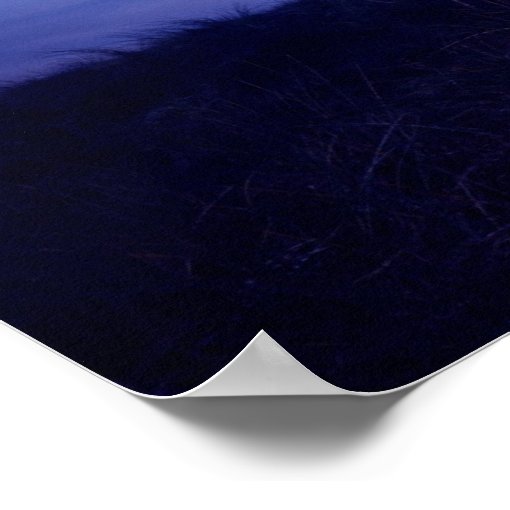 Lighthouse Beacon Poster | Zazzle