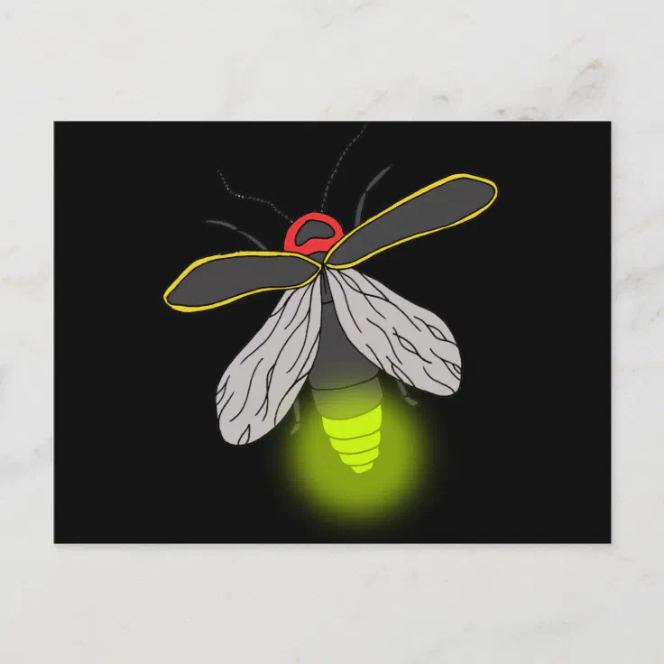 lightning bug flight lit postcard | Zazzle