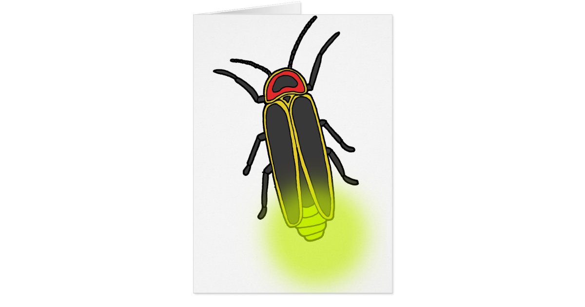 lightning bug lit | Zazzle
