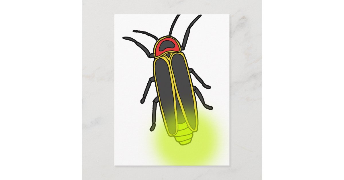 lightning bug lit postcard | Zazzle