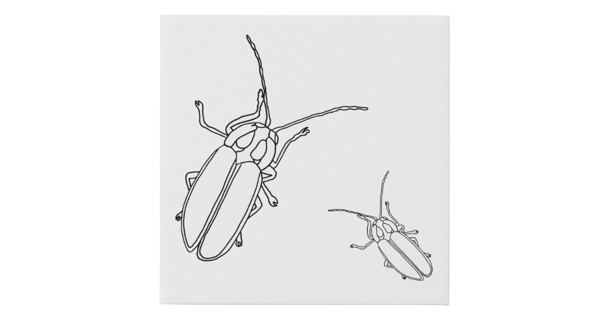 Lightning Bugs Outline Drawings to Paint on Canvas | Zazzle