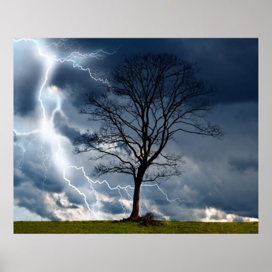 Lightning Tree Poster | Zazzle.com