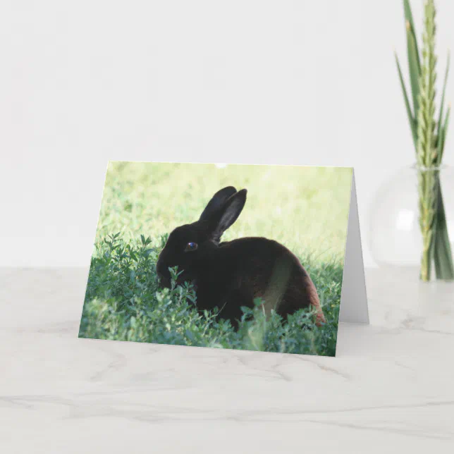 Lil Black Bunny Card | Zazzle