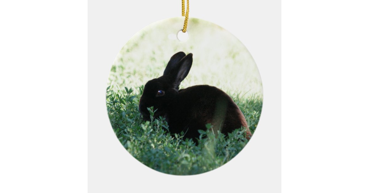 Lil Black Bunny Ceramic Ornament | Zazzle