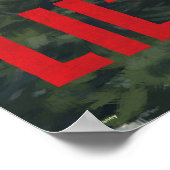 Lil' Dipper N281JH Poster | Zazzle