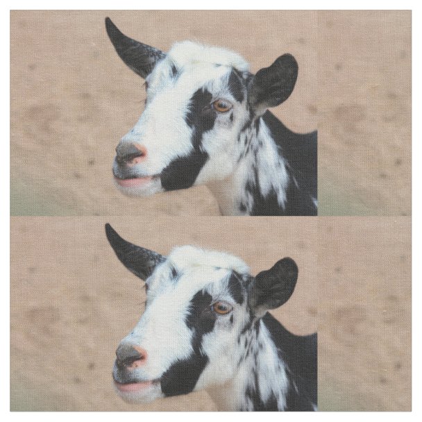 Black and White Goat Fabric | Zazzle
