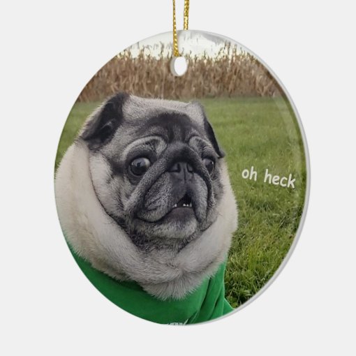 Lil Pickles Da Pug Oh Heck Ornament | Zazzle