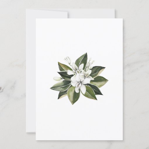 Baby Shower Invitations Lily Flowers at Amelia Woodhouse blog