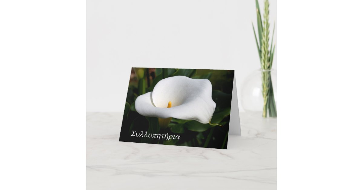 lily condolences greek card | Zazzle
