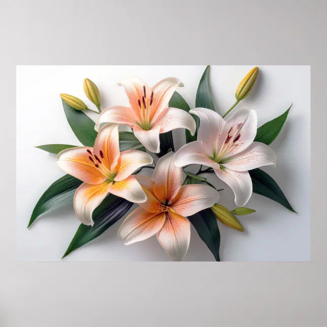 Lily Flowers Poster | Zazzle