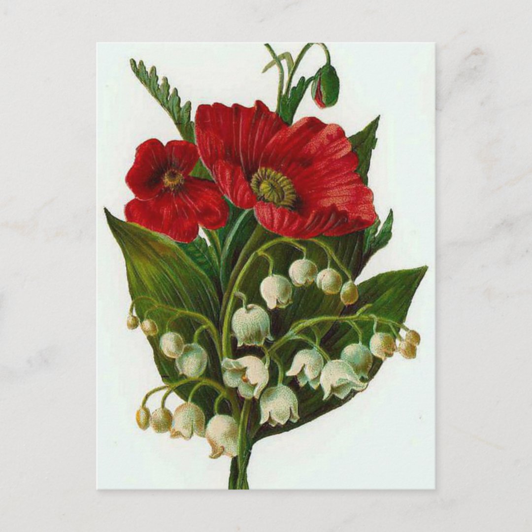 Lily Of The Valley And Poppy Vintage Design Postcard | Zazzle