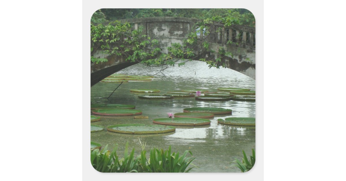 Lily Pad Photo Sticker | Zazzle