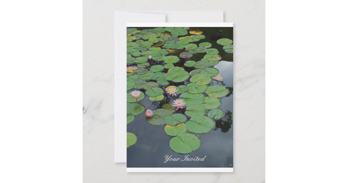 Lily Pads "Your Invited" Invitation | Zazzle