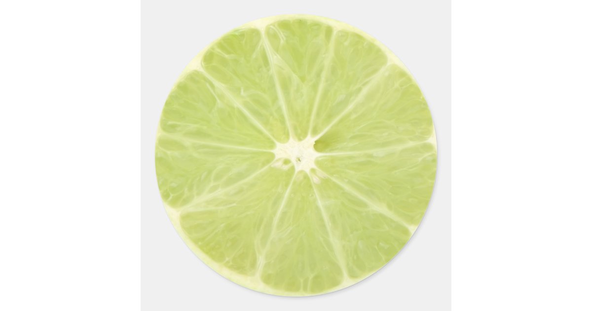 Lime Fruit Fresh Slice Classic Round Sticker | Zazzle