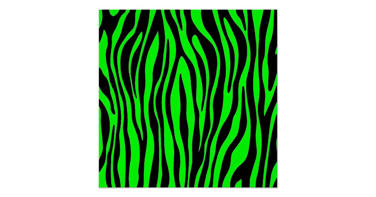 Lime Green Zebra Poster | Zazzle