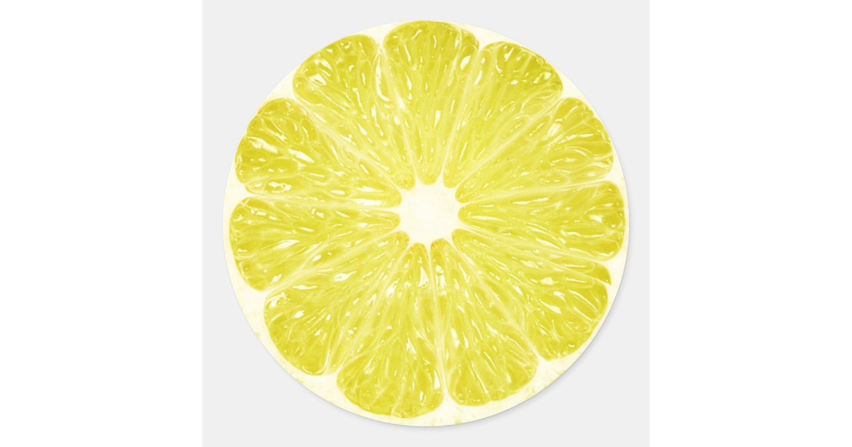 Lime Slice Classic Round Sticker | Zazzle